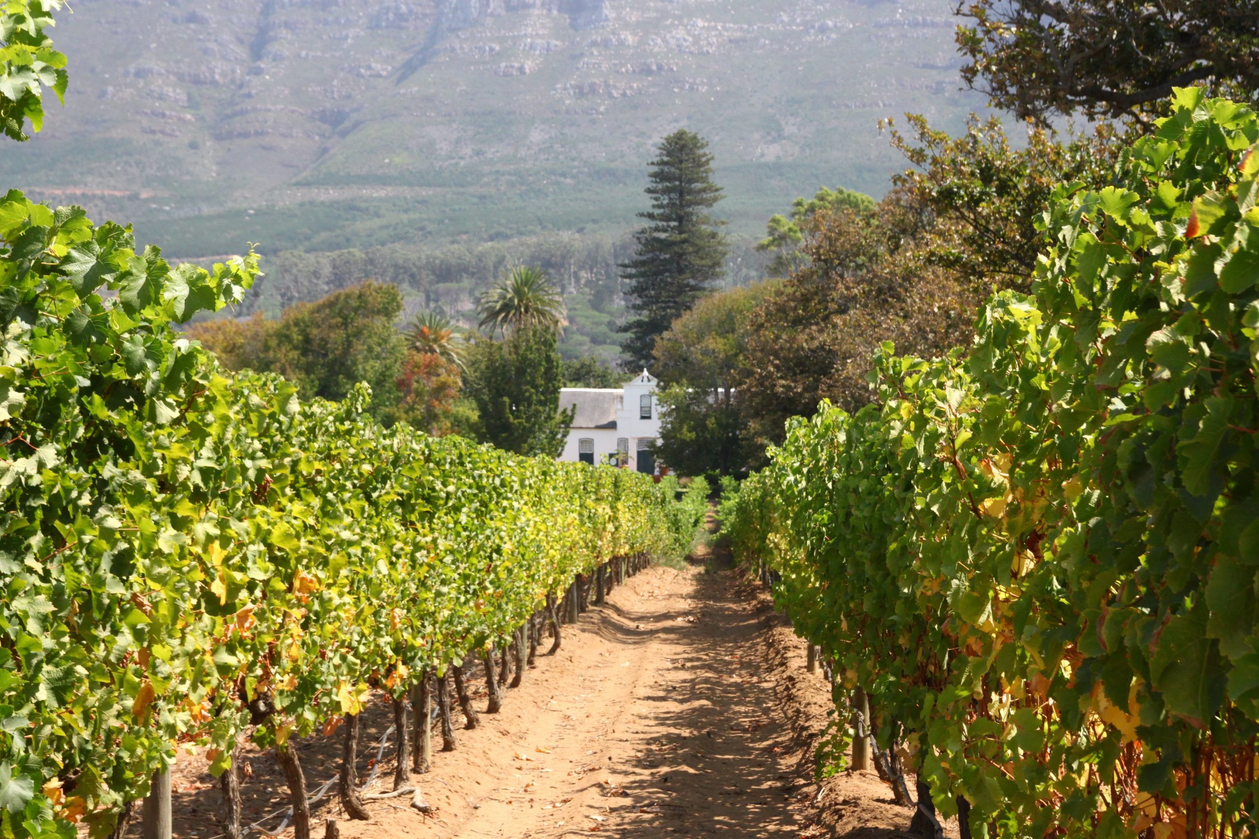 Our Location | The Alphen Boutique Hotel & Spa, Constantia